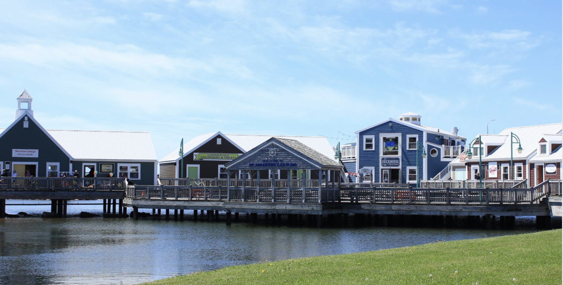 From Net Zero Vision to Hydrogen Horizons | Clean50